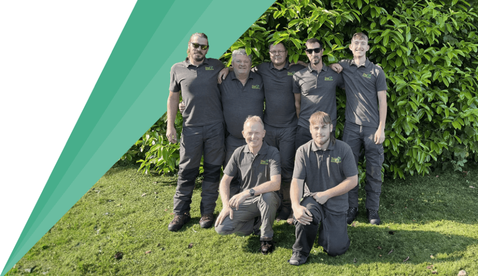 Professional Arborist & Tree Services | Tree Maintenance Ltd