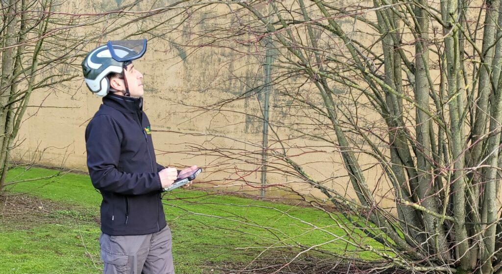 Arborist Tree Reports & Surveys | Tree Maintenance Ltd